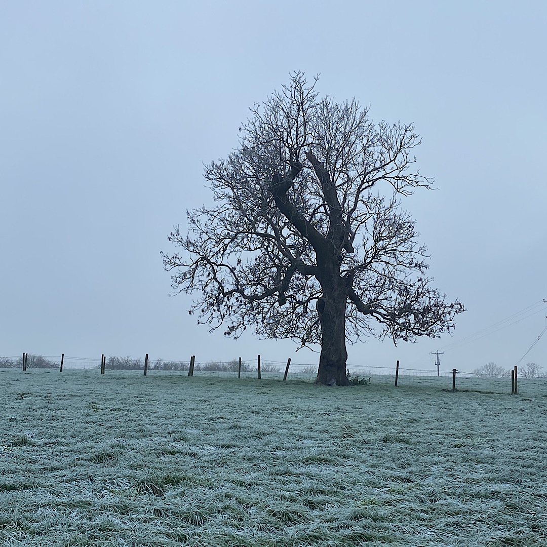 Ronald – A Dad trying to cope with the loss of his Partner and becoming ...