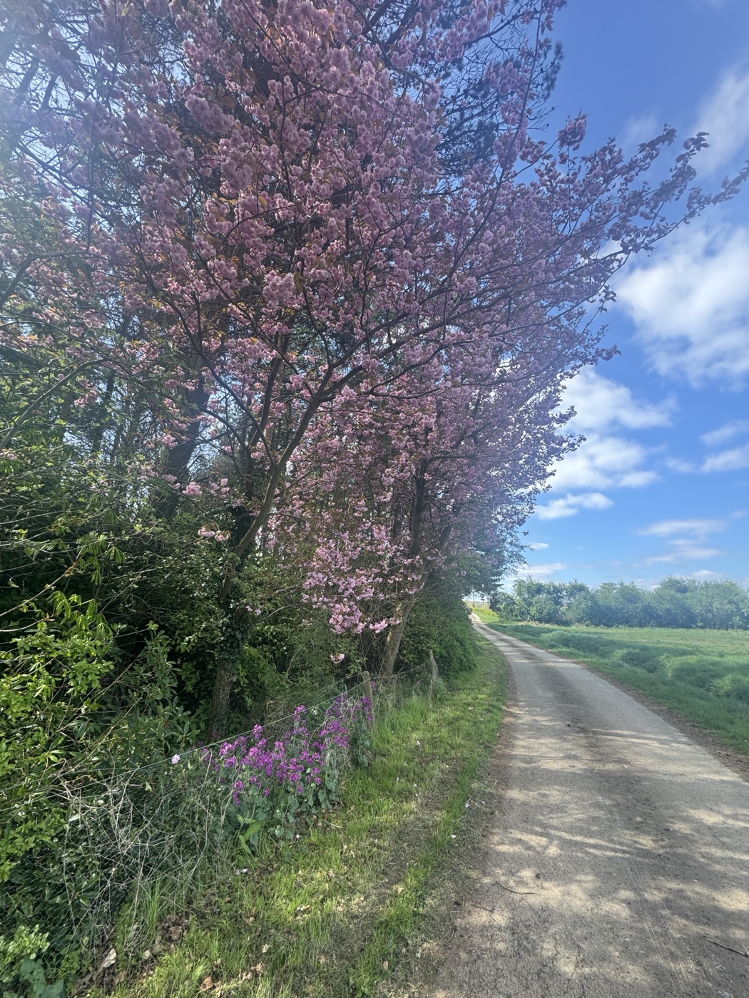 Oscar Winner – A Dad trying to cope with the loss of his Partner and ...