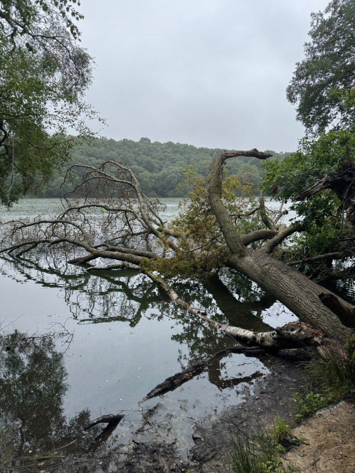 Lake Legends – A Dad trying to cope with the loss of his Partner and ...