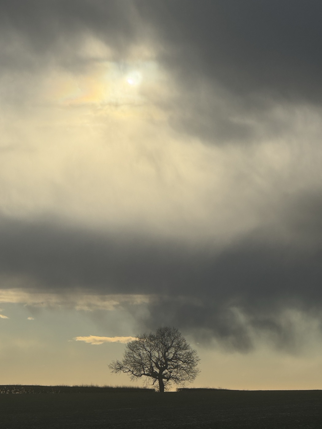 Why do they do that…. – A Dad trying to cope with the loss of his ...