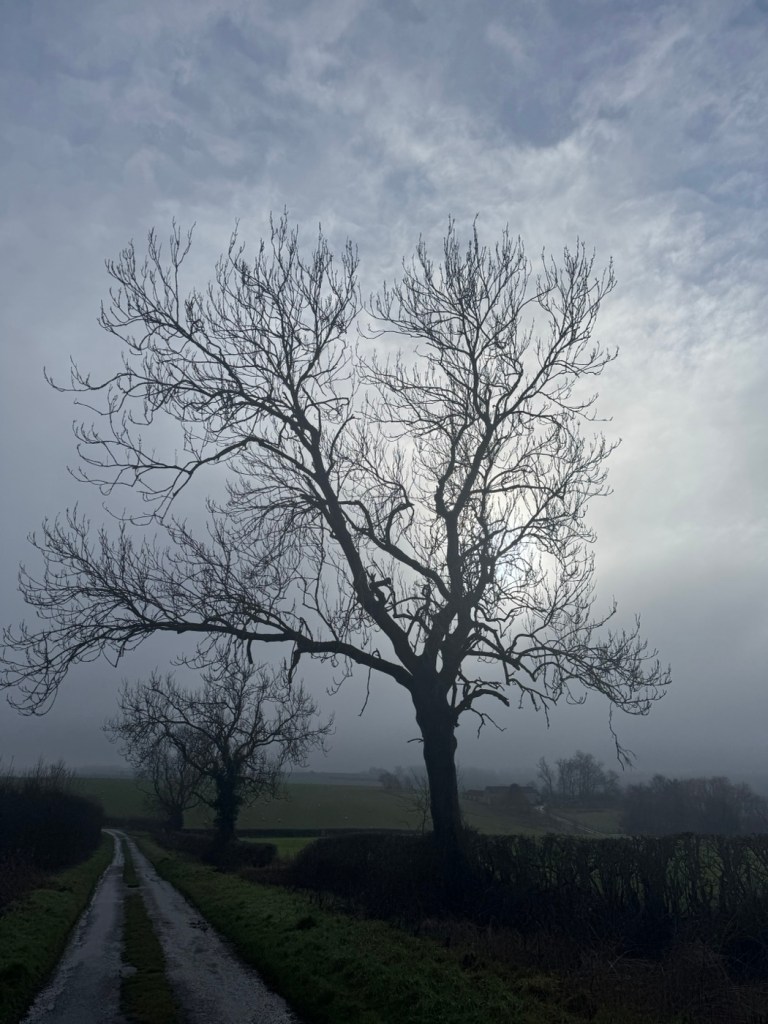 Which Monster…. – A Dad trying to cope with the loss of his Partner and ...